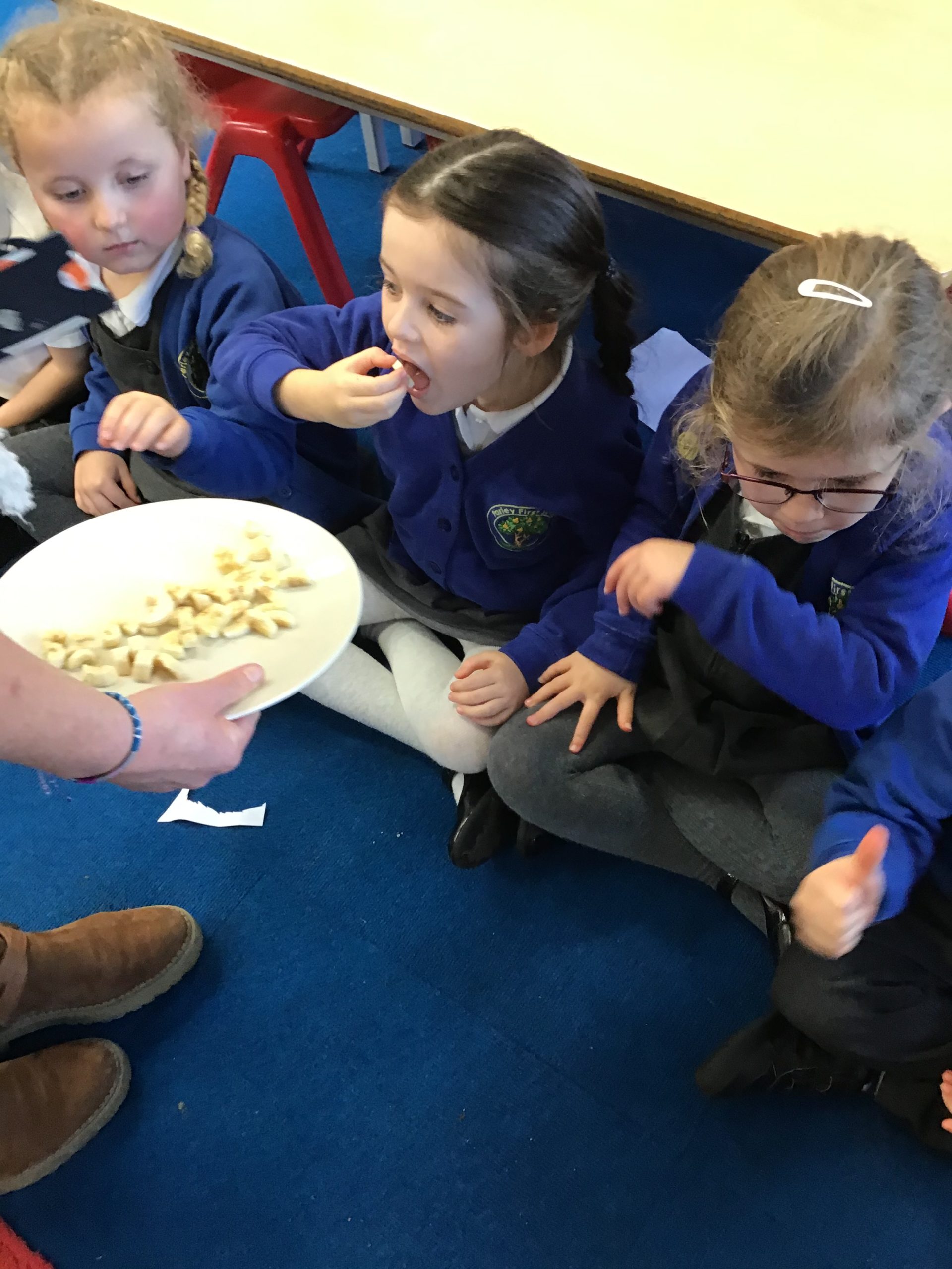 Reception | Parley First School